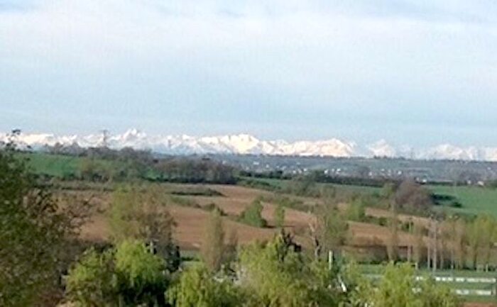 Maison à vendre - Quint-Fonsegrives - 5 pièces - 4 chambres