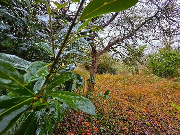 Maison à vendre - La Flèche, Centre-ville - 5 pièces - 4 chambres