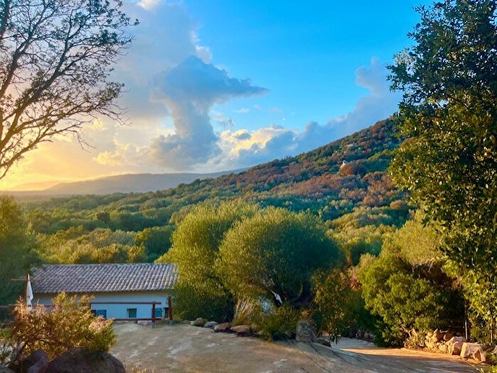 Maison à vendre - Figari - 7 pièces - 5 chambres