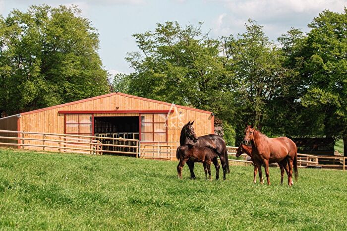 Maison à vendre - La Ferté-Macé - 14 pièces - 8 chambres