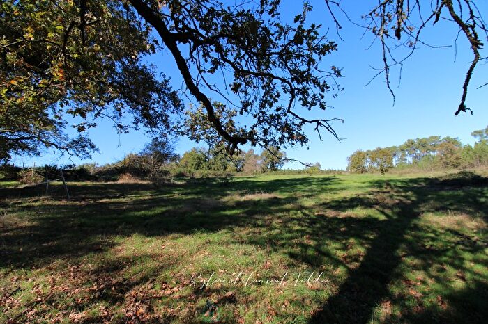 Maison à vendre - Montguyon - 8 pièces - 3 chambres