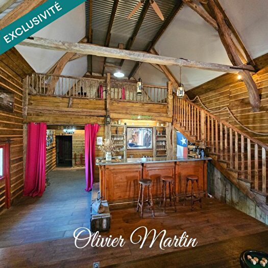 Maison 11 pièces à Mézières-sur-Ponthouin, à vendre