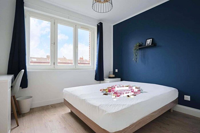 Appartement à louer - Saint Maurice-Pellevoisin, Lille - 1 pièce