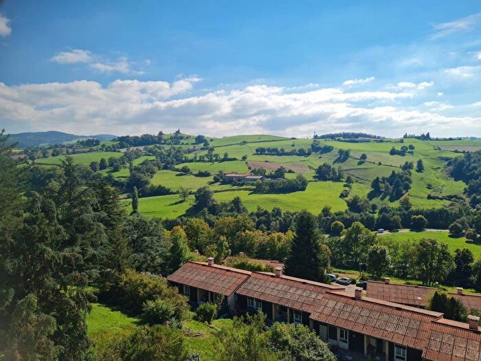 Appartement à louer - Saint-Symphorien-sur-Coise - 3 pièces