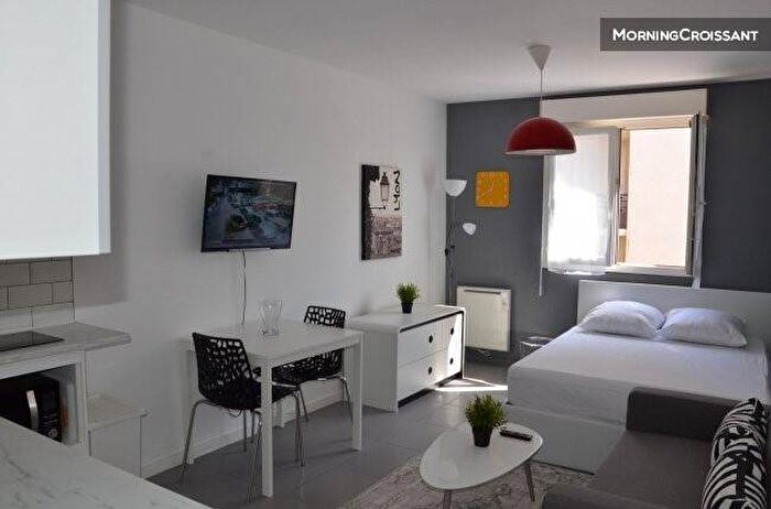 Appartement à louer - Saint Clair- Quais du Rhône, Caluire-et-Cuire - 1 pièce