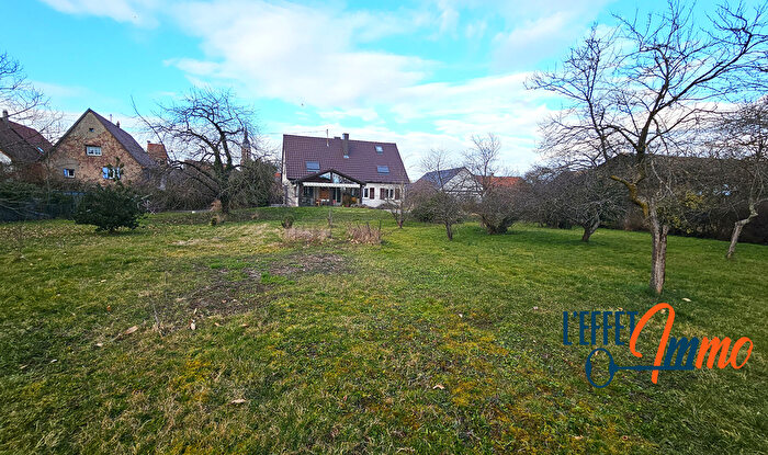 Maison à vendre - Réguisheim - 5 pièces - 3 chambres