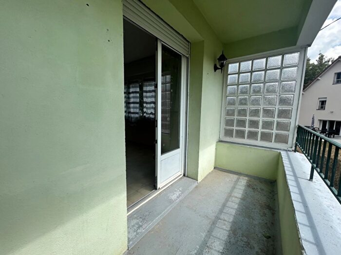 Saint-Dié-des-Vosges, Hellieule : Appartement 2 pièces à louer