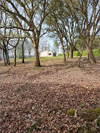 Maison à vendre - Sainte-Maure-de-Peyriac - 5 pièces - 2 chambres