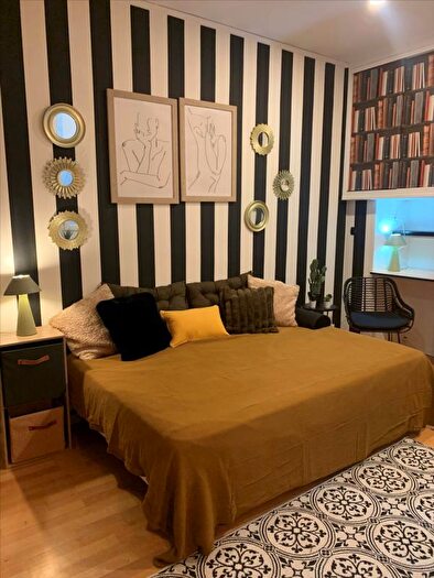 Nancy, Ville vieille, Léopold : Appartement 1 pièce à louer