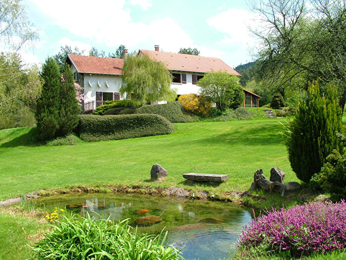 Maison à vendre - Saint-Dié-des-Vosges, Stanislas - 9 pièces - 5 chambres