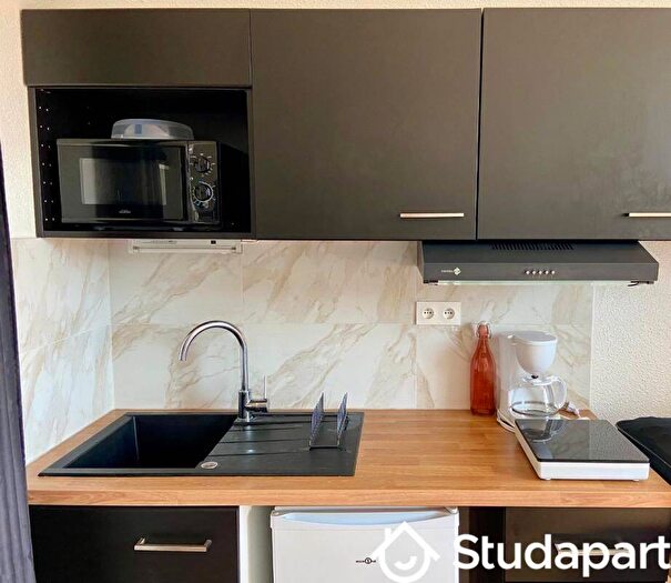 Caulier, Lille : Appartement 1 pièce à louer