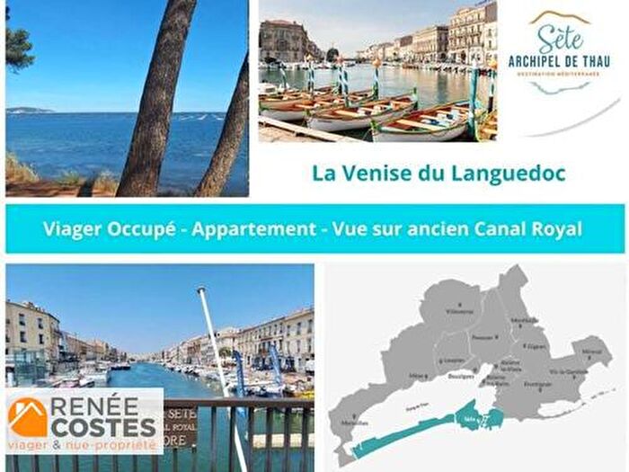 Appartement à vendre - Sète, Zone portuaire - 3 pièces - 2 chambres