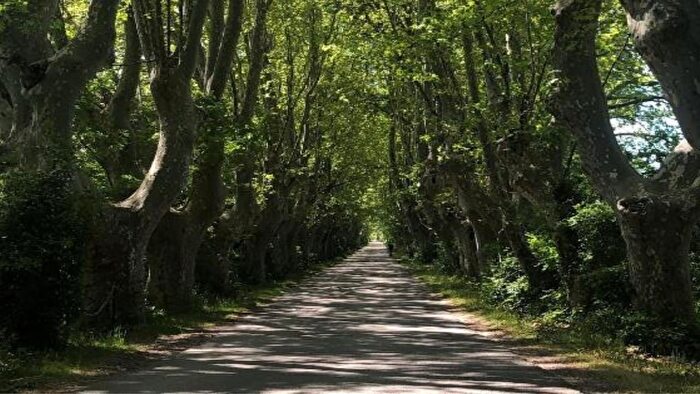 Maison à vendre - Châteauneuf-du-Pape - 20 pièces - 18 chambres