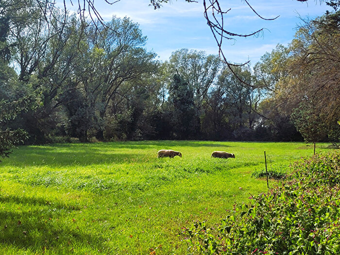 Maison à vendre - Fontvieille - 4 pièces - 2 chambres