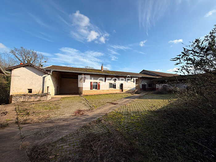 Maison à vendre - Saint-Étienne-sur-Chalaronne - 3 pièces - 2 chambres