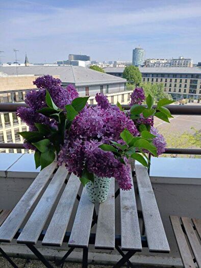 Espaces Jeunes, Issy-les-Moulineaux - Appartement 1 pièce à louer