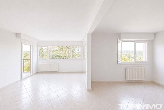 Vigne-Roche des Fées-Purgatoire, Saint-Dié-des-Vosges - Appartement 4 pièces à louer