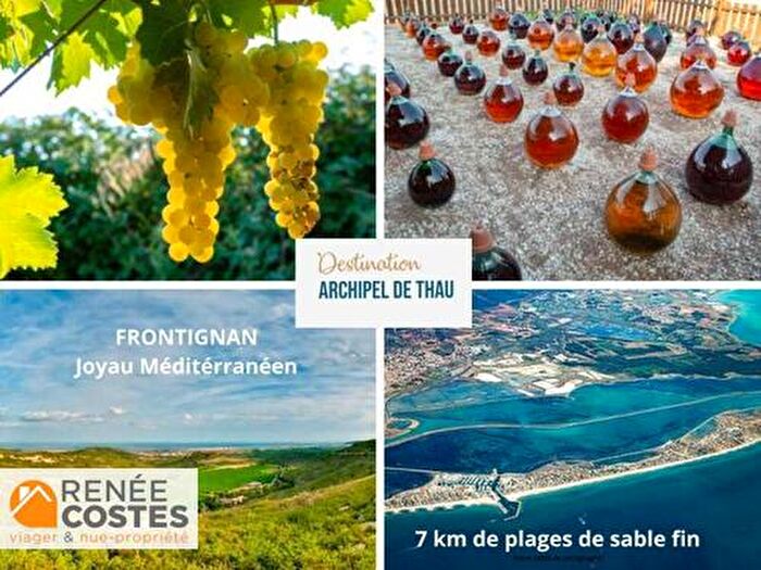 Maison à vendre - Frontignan, La Ville - 3 pièces - 2 chambres