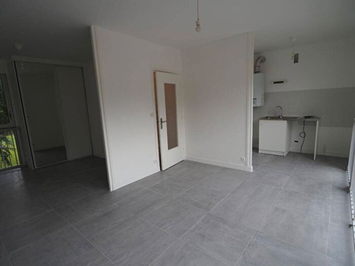 Appartement à louer - Saint Irénée, Lyon ème - 1 pièce