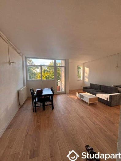 Activités, Orléans : Appartement 1 pièce à louer