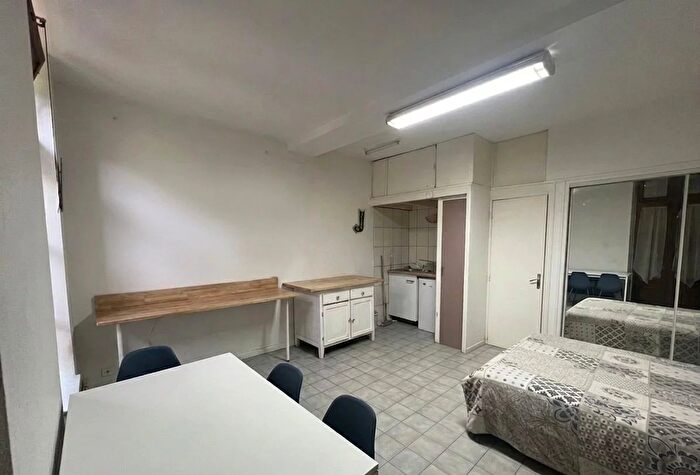 Toulouse, Busca, Jardin des plantes, Port Saint-Sauveur : Appartement 1 pièce à vendre