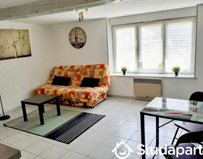 Plantes-Dauphine, Orléans - Appartement 1 pièce à louer