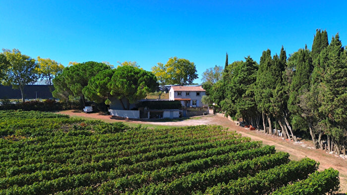 Maison à vendre - Pennautier - 7 pièces - 5 chambres