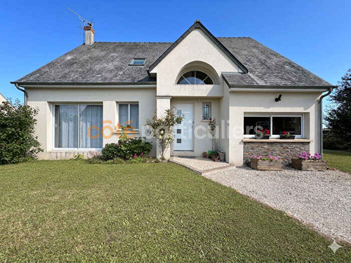 Saint-Denis-en-Val : Maison 7 pièces à vendre
