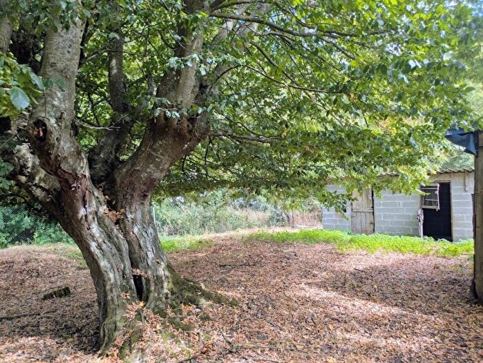 Lafresguimont-Saint-Martin : Maison 9 pièces à vendre