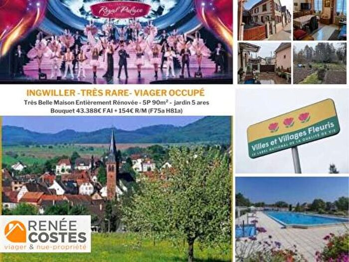 Maison à vendre - Ingwiller - 5 pièces - 4 chambres