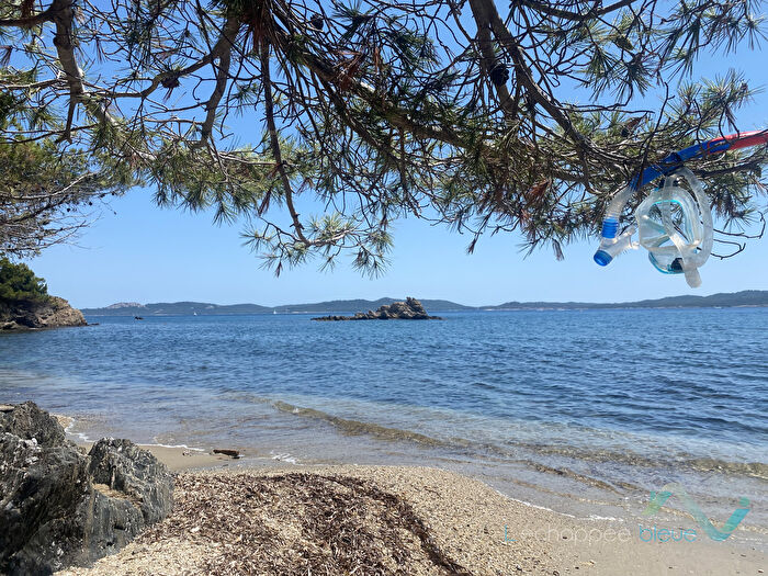 Appartement à vendre - Hyères, Giens - 2 pièces - 1 chambre