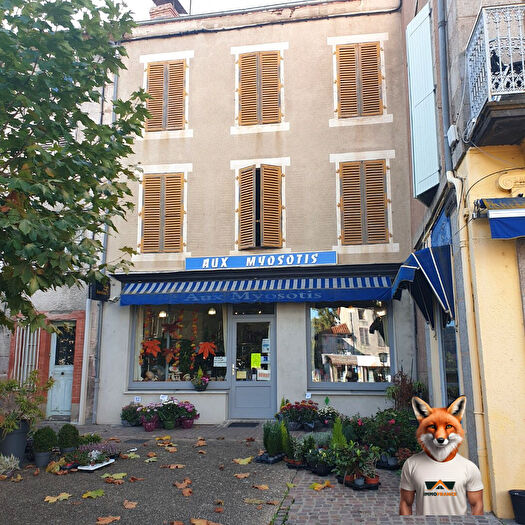 Maison à vendre - Arlanc - 12 pièces - 5 chambres