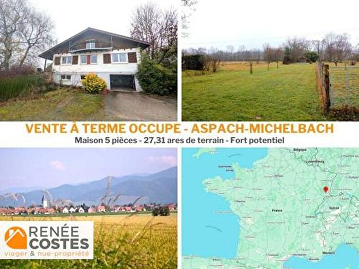 Maison à vendre - Michelbach - 5 pièces - 4 chambres