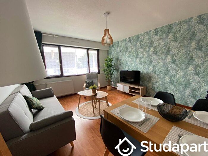 Espace Européen de l'Entreprise-Mittefeld, Schiltigheim - Appartement 1 pièce à louer