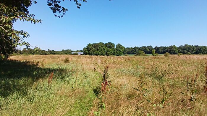 Maison à vendre - Mimbaste - 7 pièces - 6 chambres