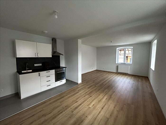 Oberentzen - Appartement 2 pièces à louer