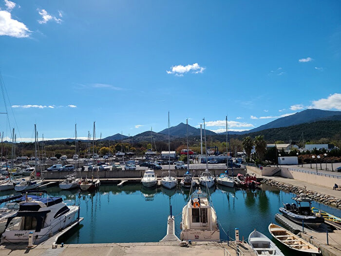 Appartement à vendre - Argelès-sur-Mer, Le Racou, Port dArgelès - 2 pièces - 1 chambre