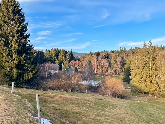 Maison à vendre - Orbey - 10 pièces - 4 chambres