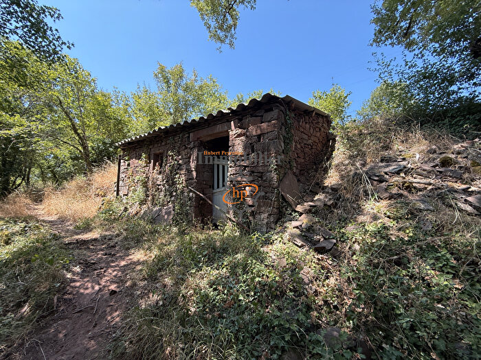 Maison 1 pièce à Saint-Affrique, à vendre